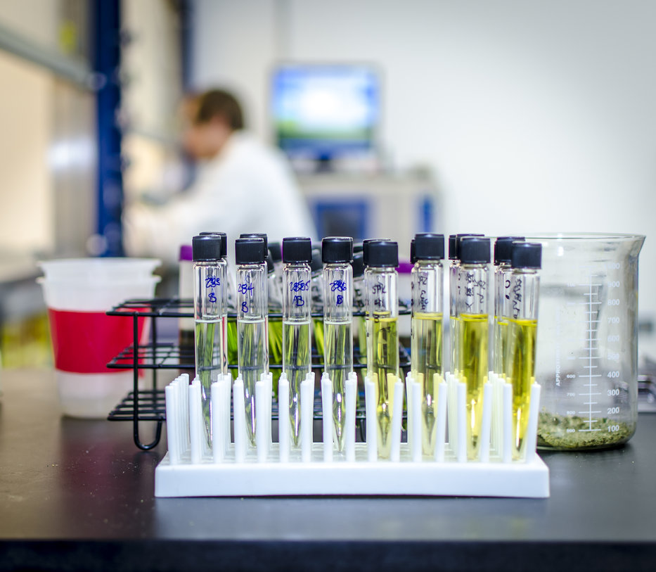 4 Trends Propelling the U.S. Cannabis Testing Market: 2021-2027 | Eco ...